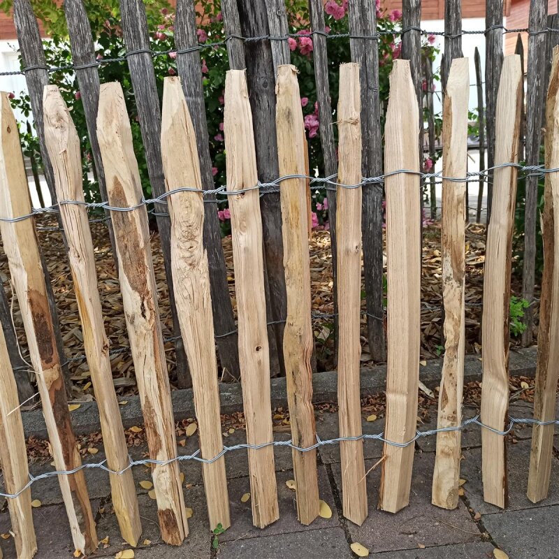 Luxus Staketenzaun 60 Cm Hoch Ebenbild
